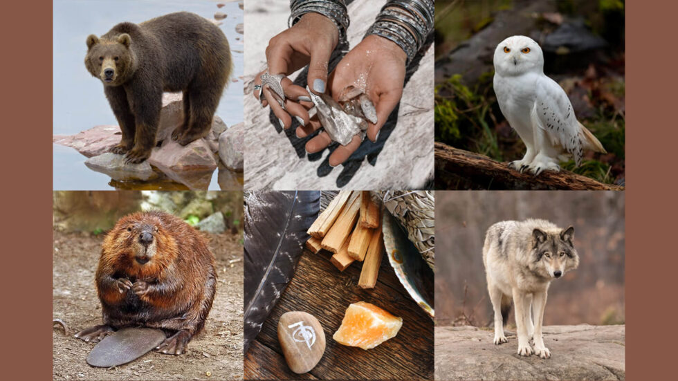 Animal Totems & Guides - Brenda Johnston - Toronto Shaman energy Healing